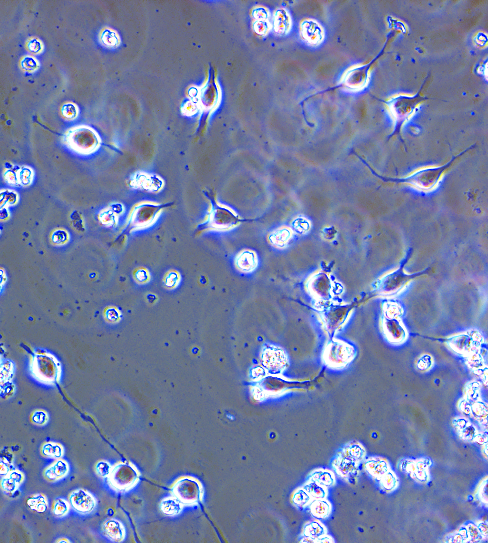 Space benefits, stem cells, and why we’re just getting started – Zapata ...